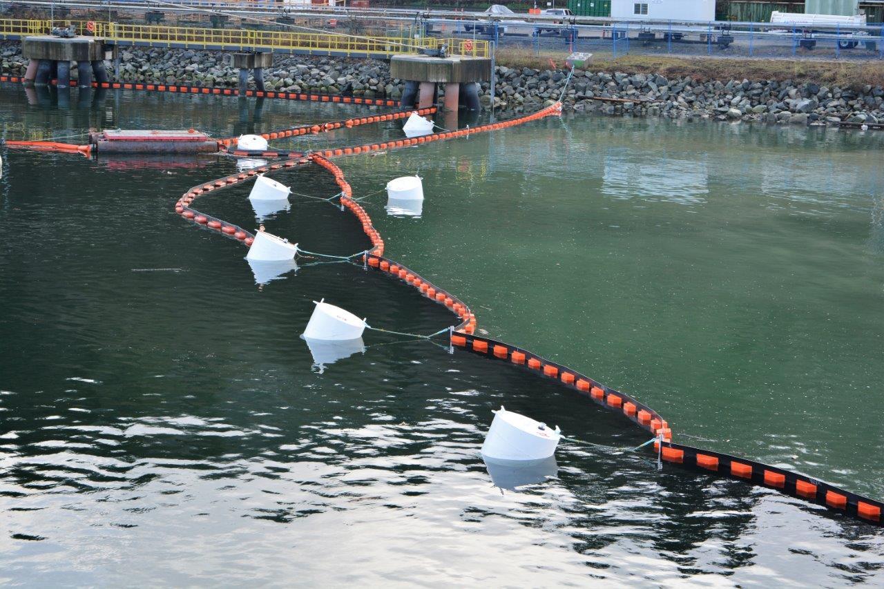 Trans Mountain - Turbidity Curtain Contains Sediment and Protects…