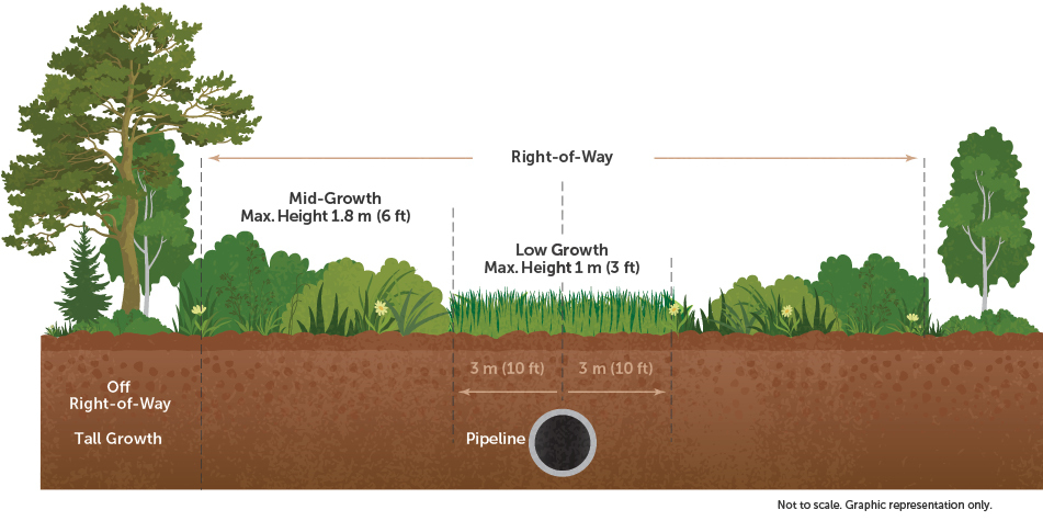Trans Mountain - Landscaping Guidelines