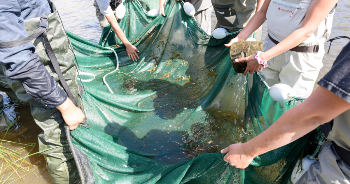 Trans Mountain - Aboriginal Monitor Training Program Provides…