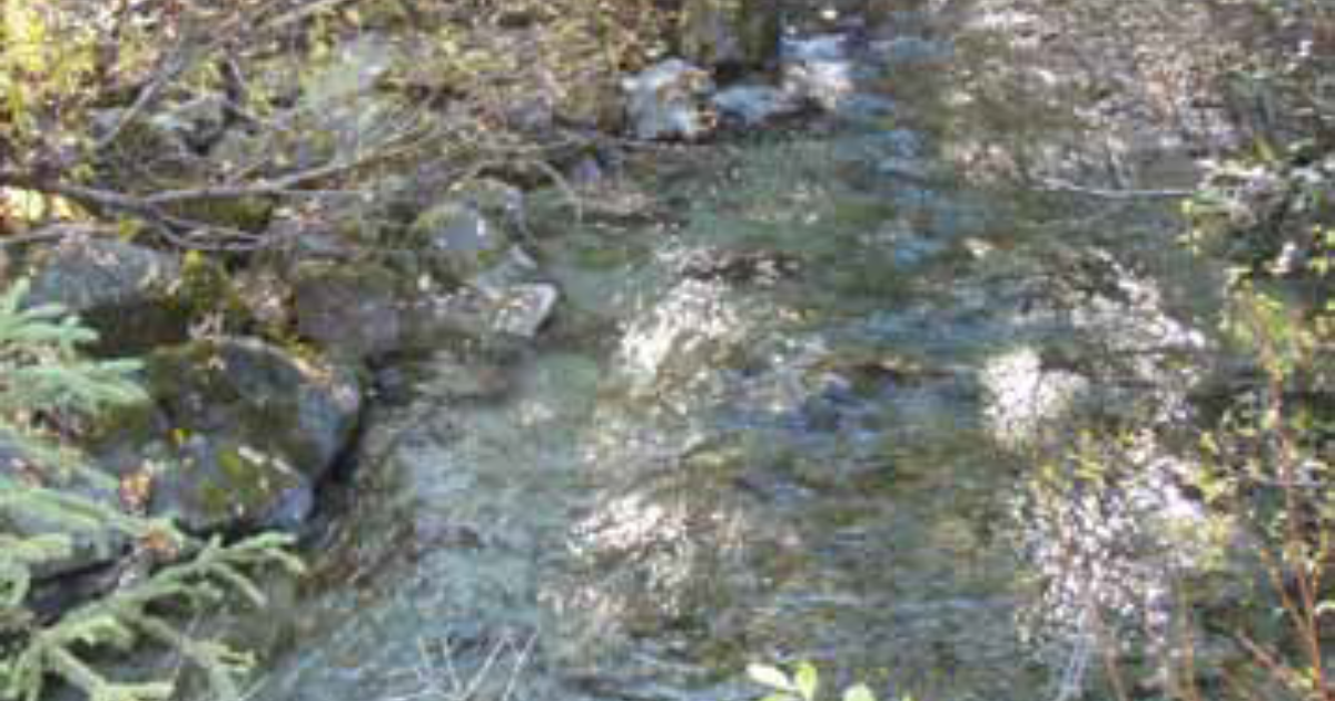 Trans Mountain - Watercourse Crossings in Burnaby