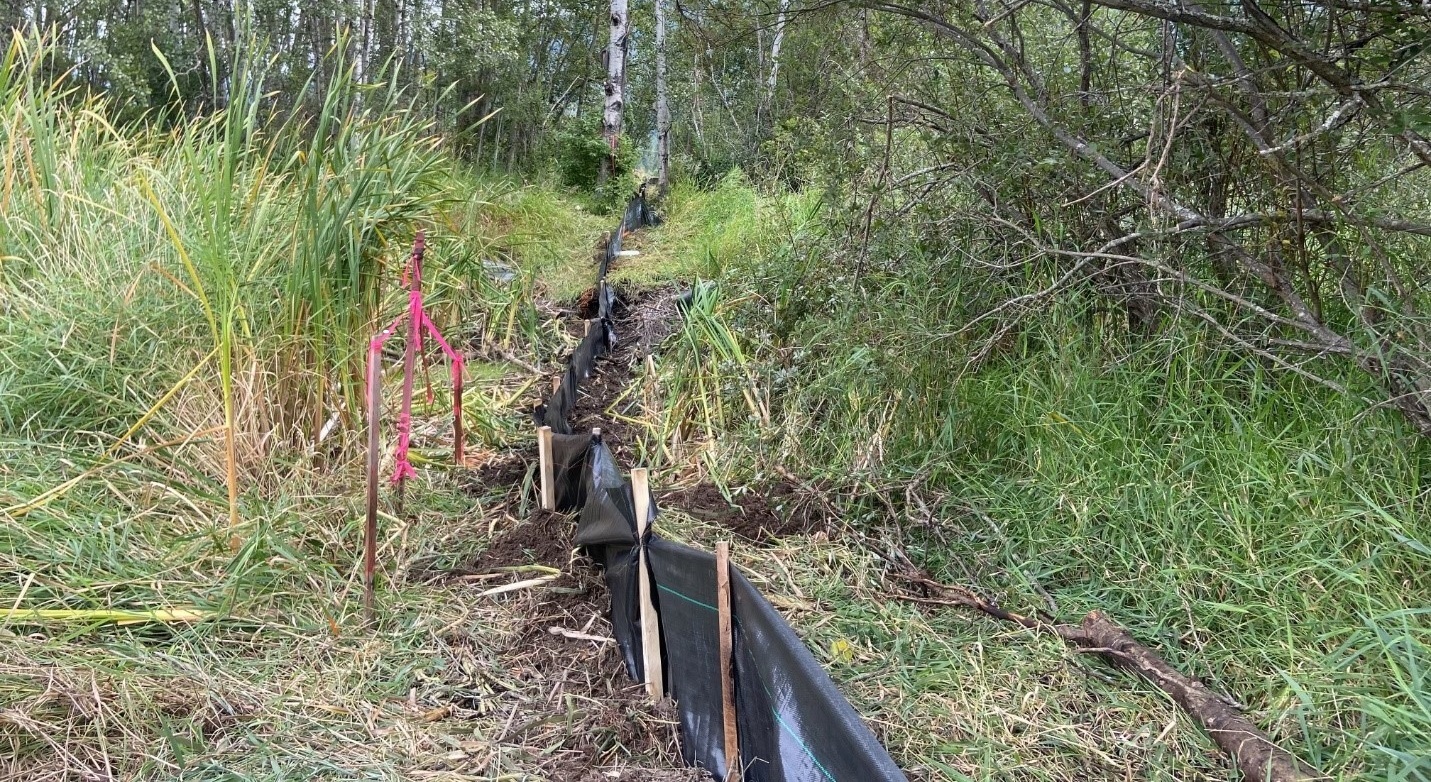 Trans Mountain - Hop to it! Protecting Amphibians