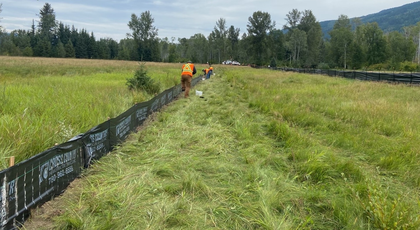 Trans Mountain - Hop to it! Protecting Amphibians